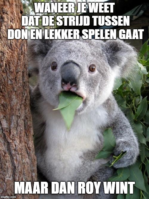 Surprised Koala Meme - Imgflip