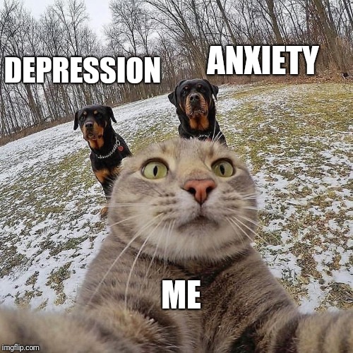 Image Tagged In Animals depression anxiety Imgflip