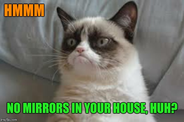 Grumpy Cat - Imgflip