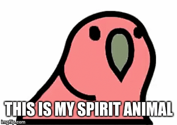 My Spirit Animal - Imgflip