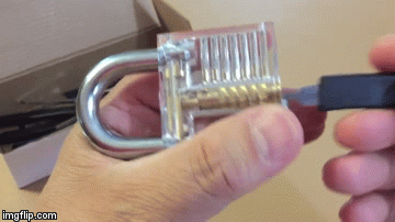 Animated GIF - Imgflip