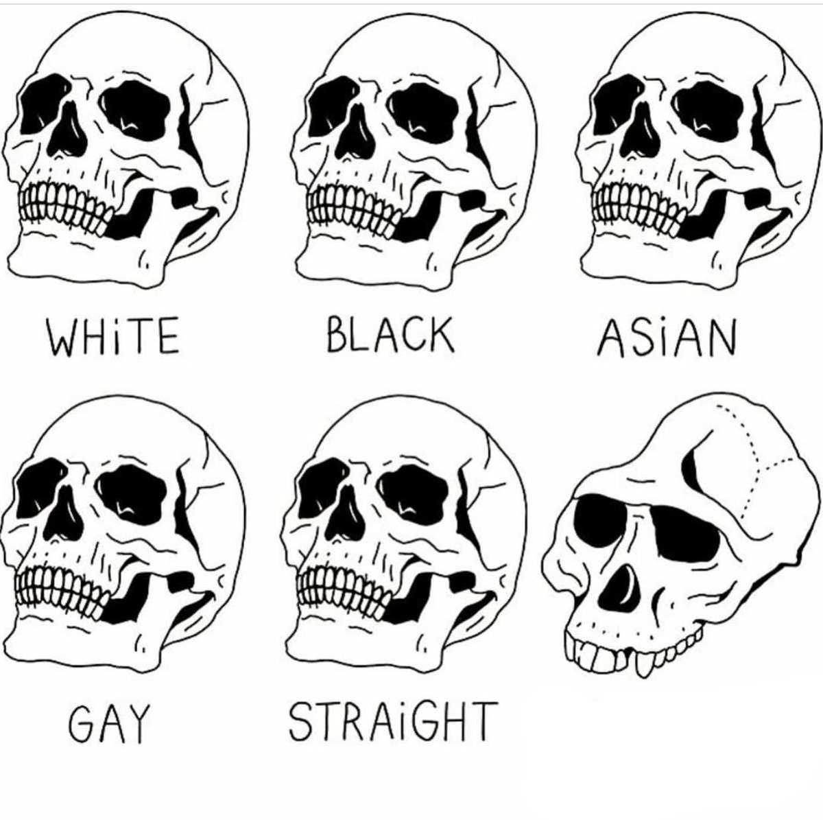  compare Meme Templates Imgflip