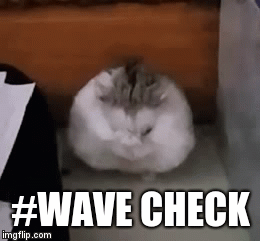 Hamster with waves. - Imgflip