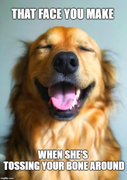 Who's a good boy?! - Imgflip