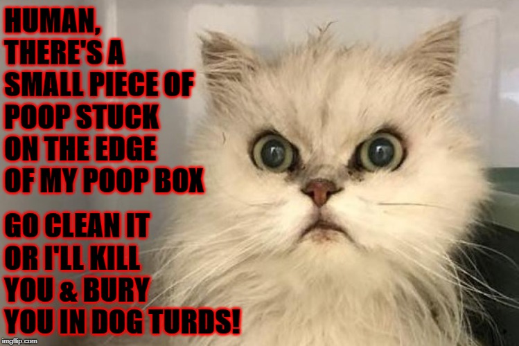 Image tagged in clean it - Imgflip