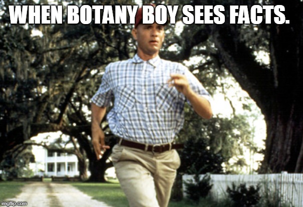 Forest Gump running - Imgflip