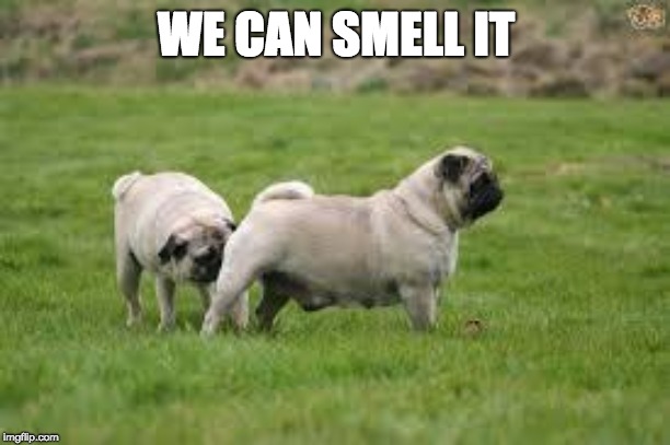 Read the fine print - Imgflip