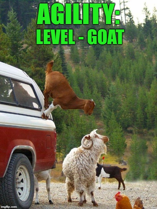 what gravity? - Imgflip