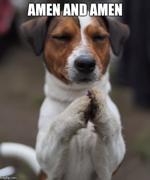 Religious dog greetings; Florida Man Week (March 7-13) and Doggo Week ...