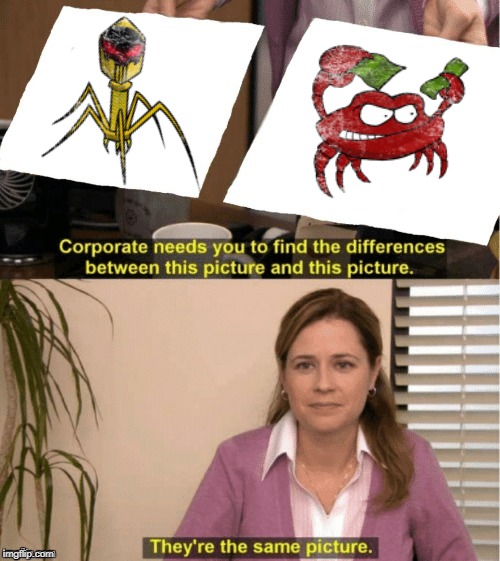 They're The Same Picture Meme - Imgflip