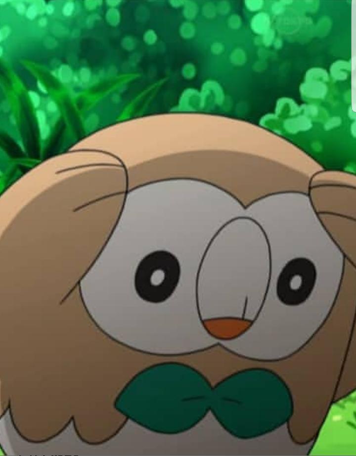 pokemon Meme Templates Imgflip