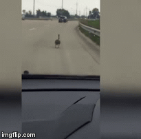 When you get stuck behind the slowest guy on the freeway! - Imgflip