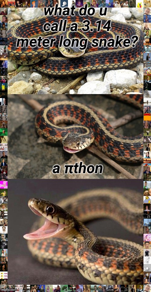 Snake Puns - Imgflip