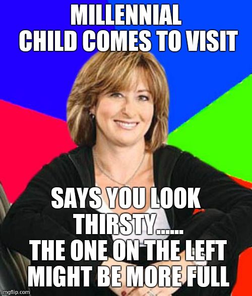 Sheltering Suburban Mom Meme - Imgflip