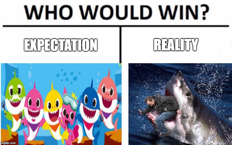 Expectation Vs Reality Meme Template