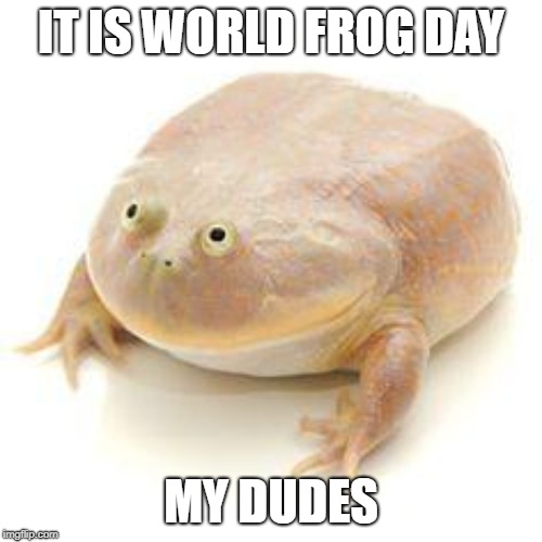 Wednesday Frog Blank - Imgflip