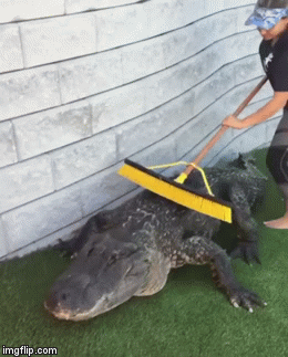 I Wanna Eat You, But This Feels Soooooo Gooooood - Imgflip