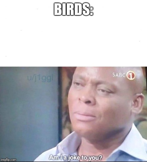 am I a joke to you - Imgflip