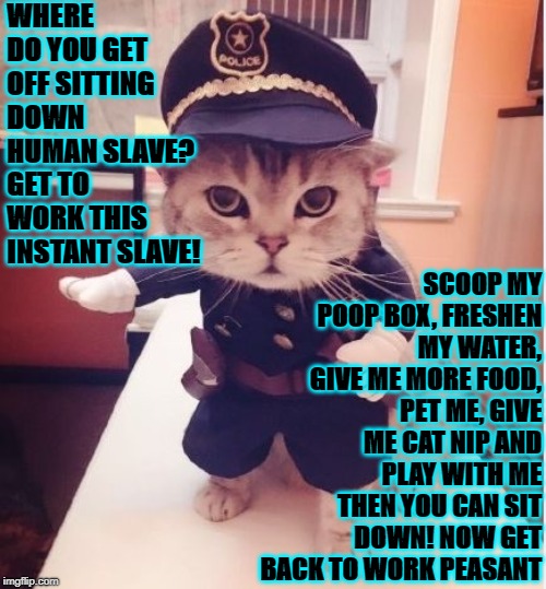 Image tagged in work peasant - Imgflip