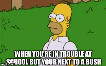 Be one with the bush - Imgflip