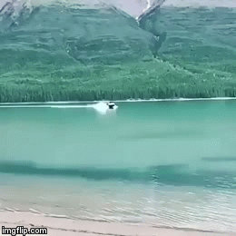 Boating to the extreme - Imgflip