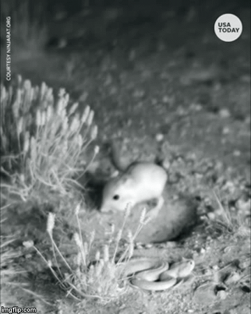 He drop kicked the MFer! - Imgflip