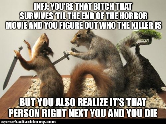 taxidermy squirrel backstab - Imgflip