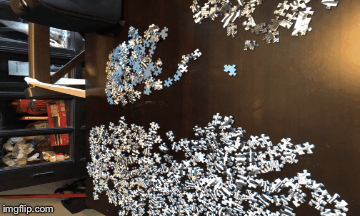 Insane Zebra Puzzle! - Imgflip