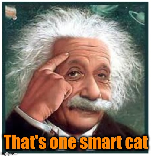 And the interview went down hill from there - Imgflip