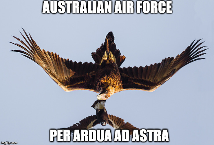 Raaf Memes