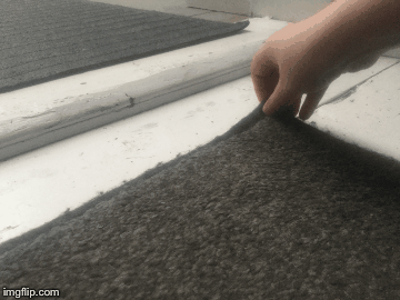 Upvote Under The Rug - Imgflip