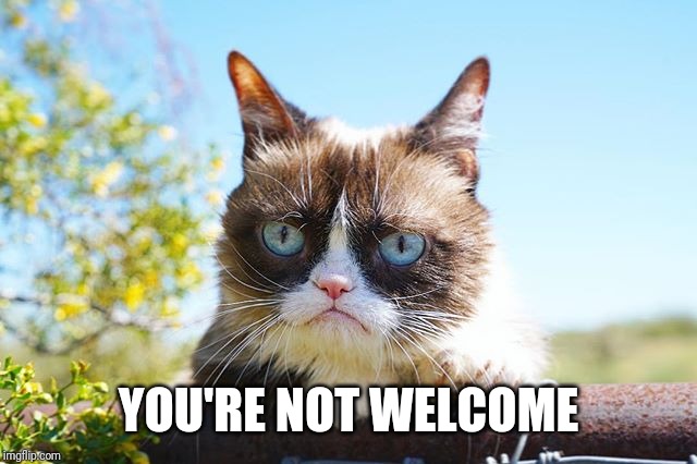 say hello to our special guest - Imgflip