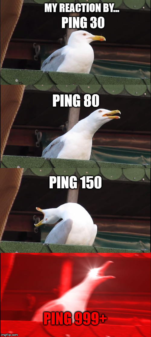 Inhaling Seagull Meme - Imgflip