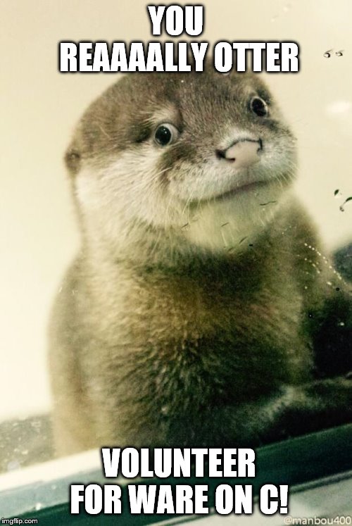 Derp otter - Imgflip