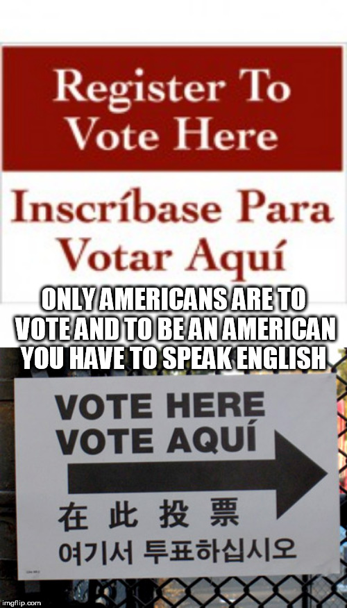 Image tagged in voting - Imgflip