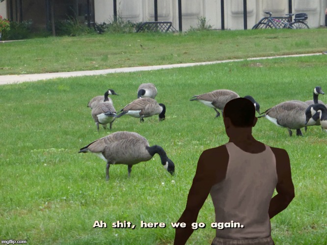 When you have to walk through army of goose - Imgflip
