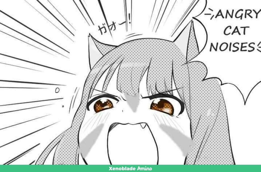 Angry Cat Meme Template
