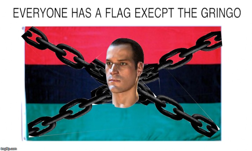EVERYONE HAS A FLAG EXCEPT FOR THE GRINGO - Imgflip