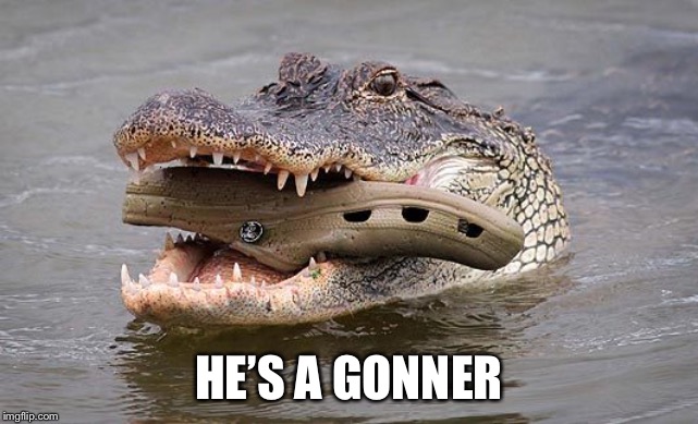 Darwin Rules! - Imgflip