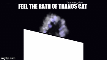 Rath Meme Cat That Mouse Eyes Wide Open 😂😂 | TikTok