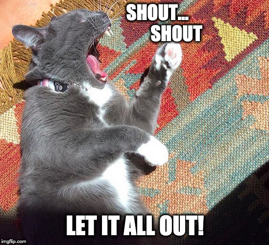 Holly s Shout Out Imgflip