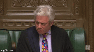 Bercow is disgusted - Imgflip