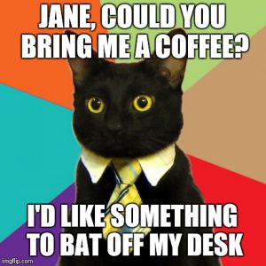 Business Cat Meme Generator - Imgflip