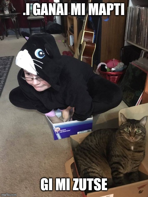 Image tagged in if i fits i sits - Imgflip