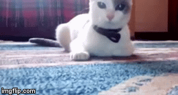 Attack Mode Activated - Imgflip