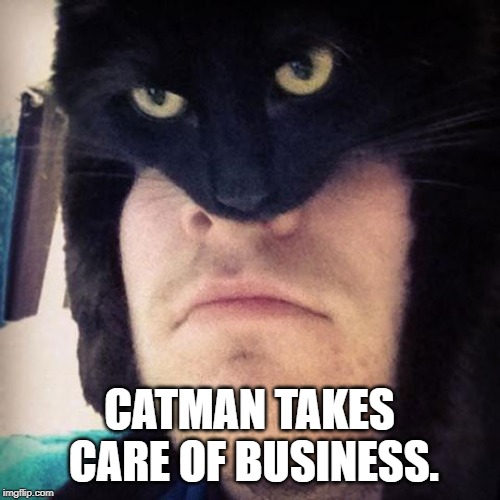 Image tagged in smart cat,memes,nixieknox - Imgflip