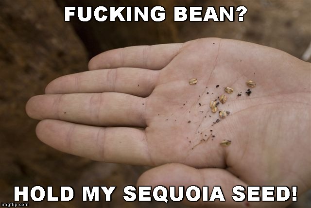 Pro Bean - Imgflip