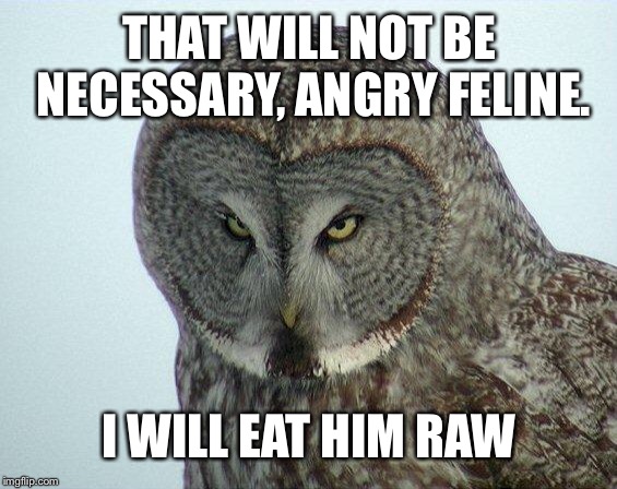 тα∂αя ιѕ αℓωαуѕ вα∂ • Repost Your Own Memes Week, April 16 until... A ...