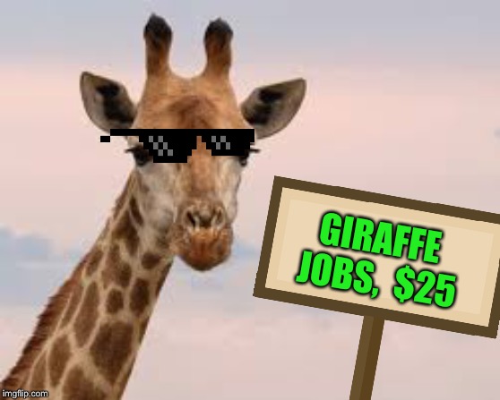 Good luck with that!!! Zoo Week May 12-18 a Dankmaster546 and 1forpeace ...