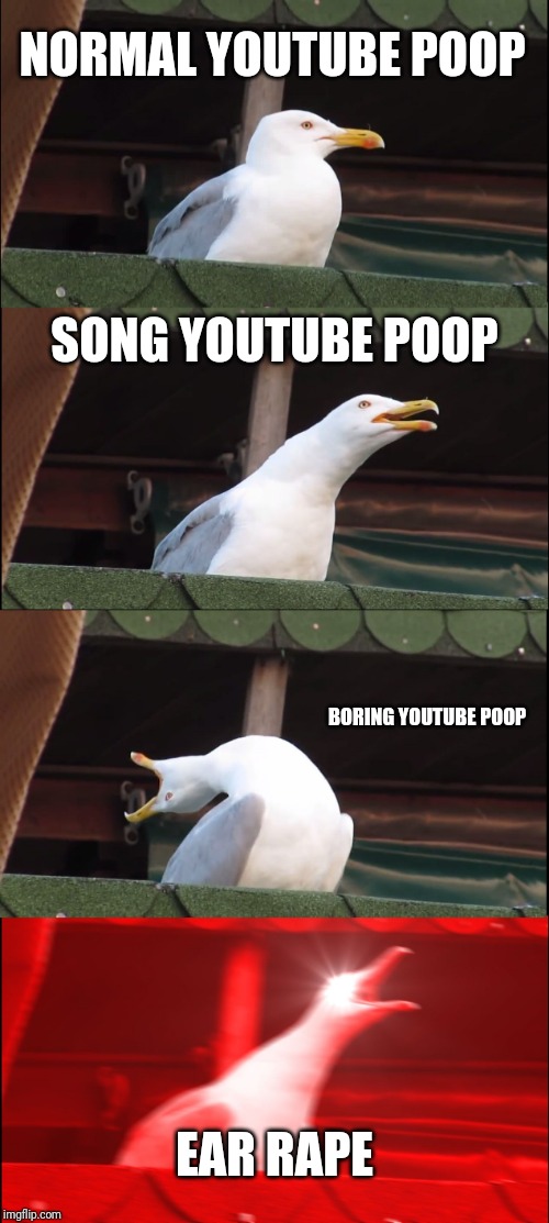 Inhaling Seagull Meme - Imgflip